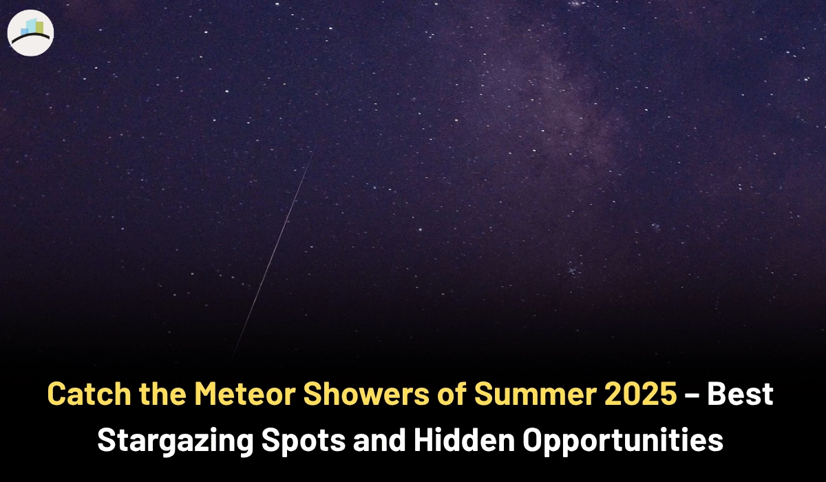 Catch the Meteor Showers of Summer 2025 – Best Stargazing Spots and ...