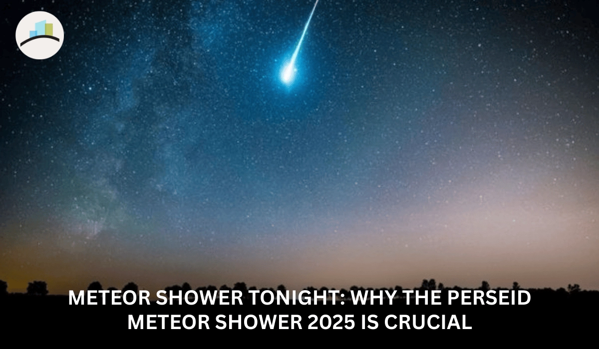Meteor Shower Tonight: Why the Perseid Meteor Shower 2025 Is Crucial