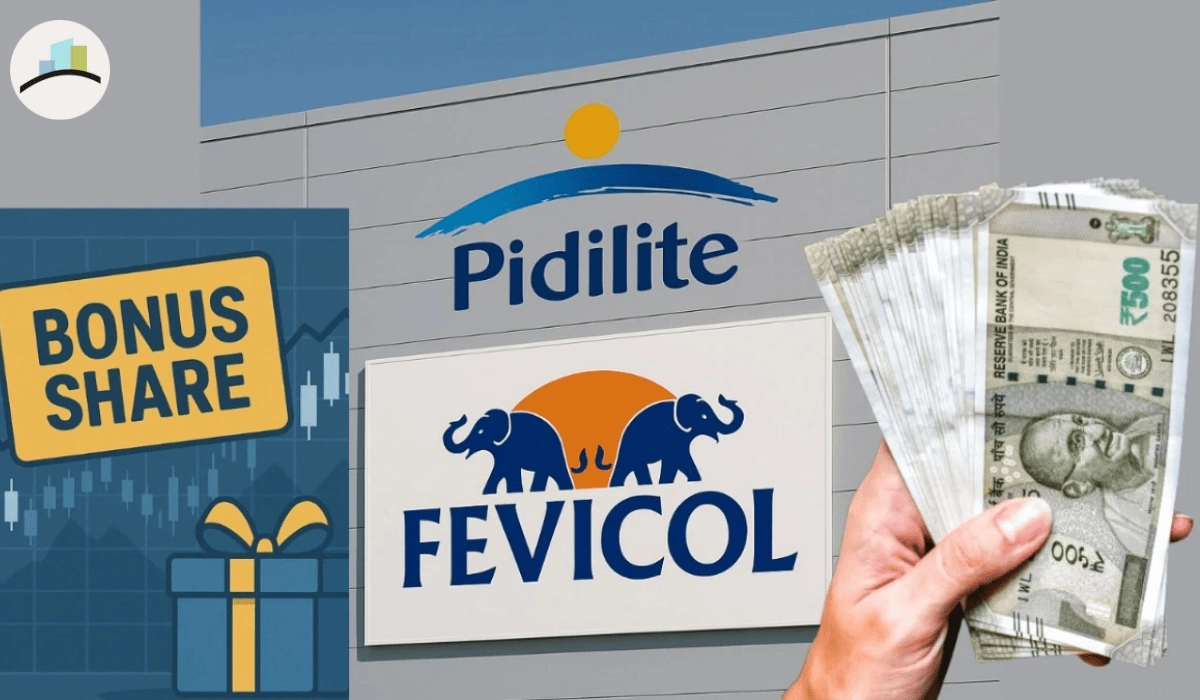 Pidilite Share Price Plunges 50% After Bonus Issue Announcement