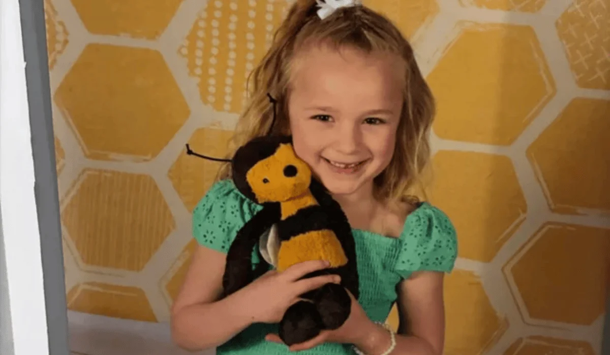 Zimmerman Search Underway: Missing 7-Year-Old Brynlee Nelson, Public ...