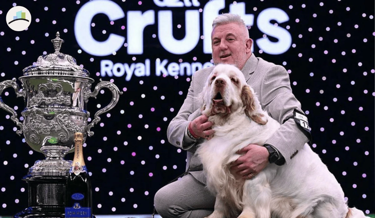 Crufts 2026 Winner: Clumber Spaniel Takes Best in Show at Crufts