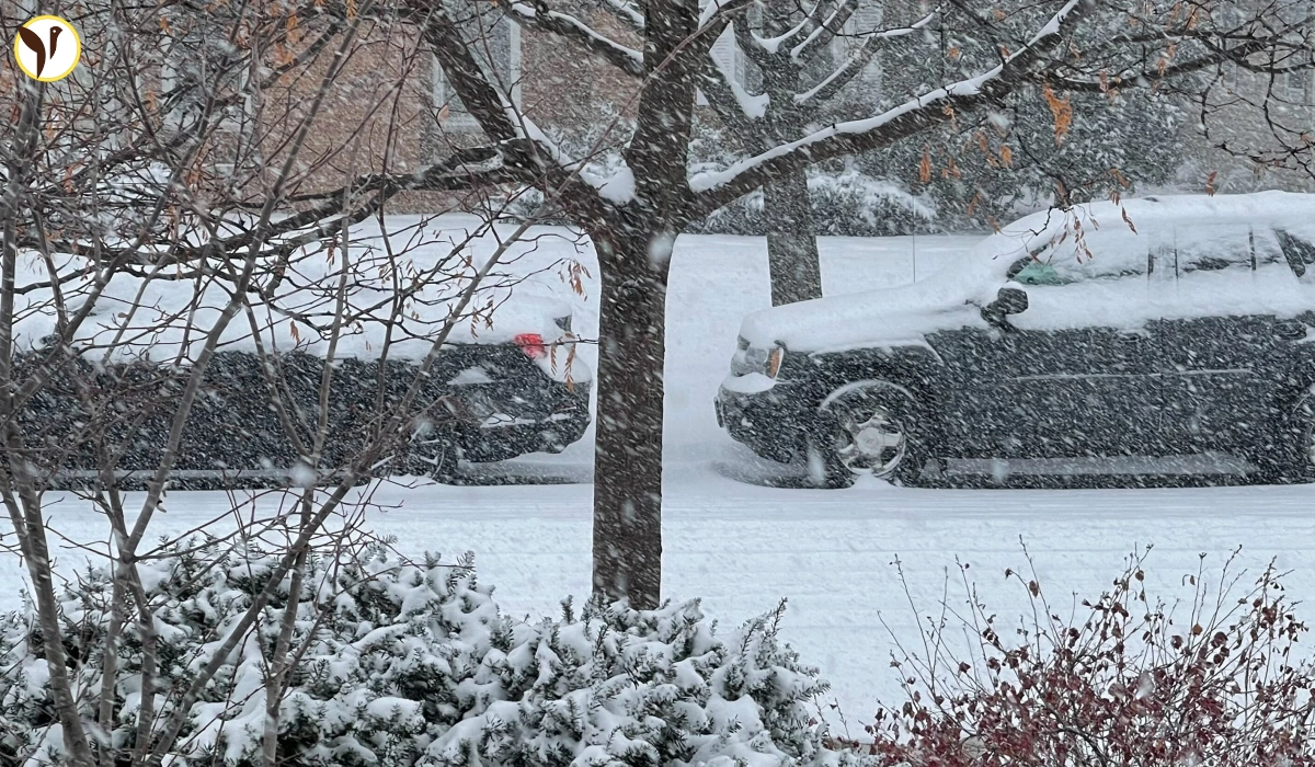 Minnesota's April Blizzard: 15 Inches of Snow Stuns North